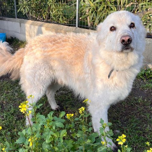 respektiere.com - Wir warten auf Hilfe...